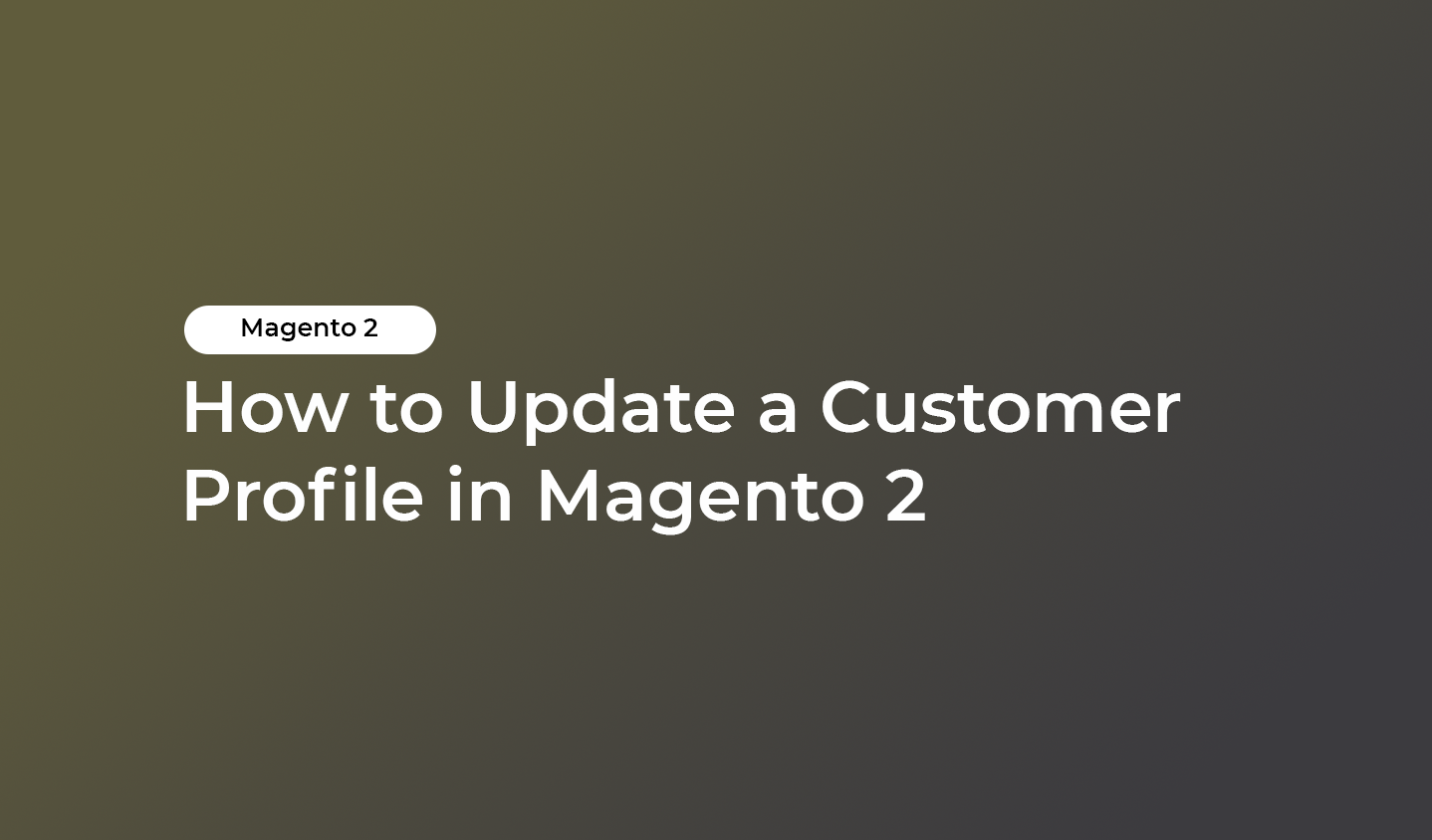 How to Update a Customer Profile in Magento 2 | HiddenTechies